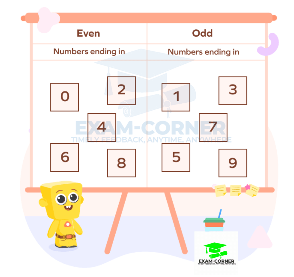 10 MATHS – EVEN NUMBERS AND ODD NUMBERS – Exam-Corner