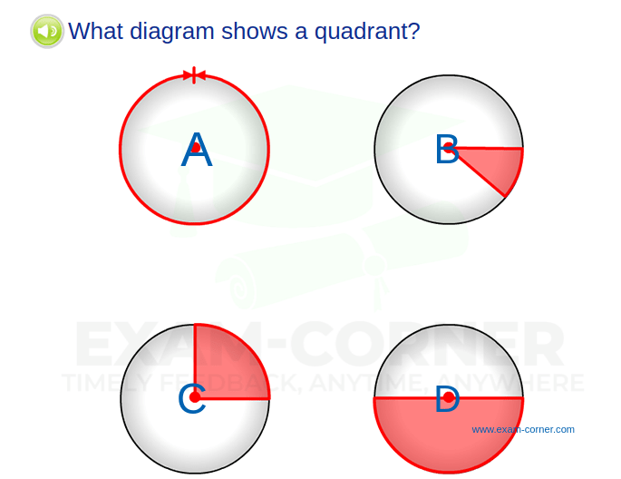 Labelling Circles – Exam-Corner