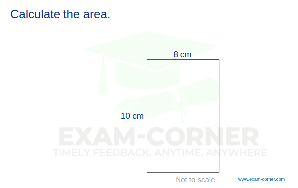 Area: Squares and Rectangles – Exam-Corner
