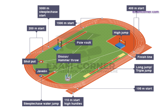 Athletics competitors and competition areas – Exam-Corner