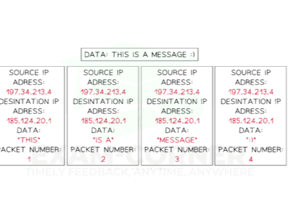 Data Packets – Exam-Corner