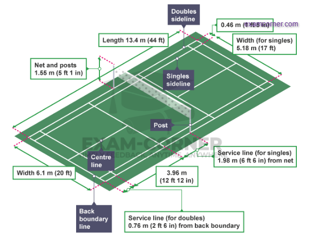 Badminton players and playing area – Exam-Corner
