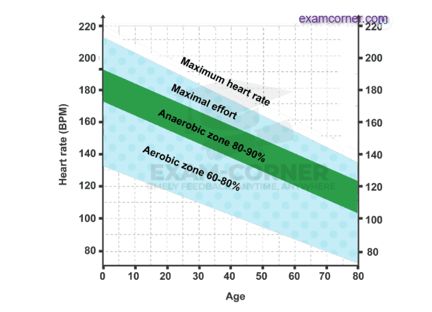 Training thresholds and calculating working intensity – Exam-Corner