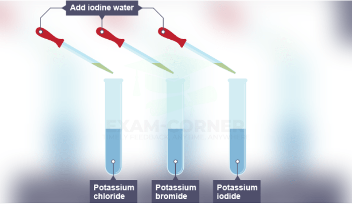 Chemical properties of halogens and their displacement reactions – Exam ...