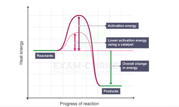 Catalysts – Exam-Corner
