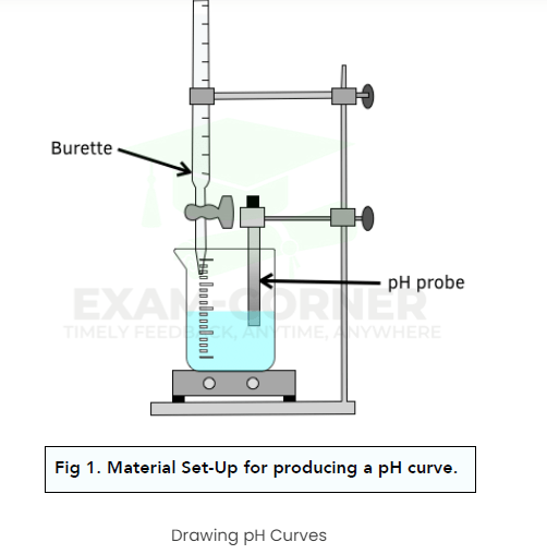 Acids and Bases – Drawing pH Curves – Exam-Corner