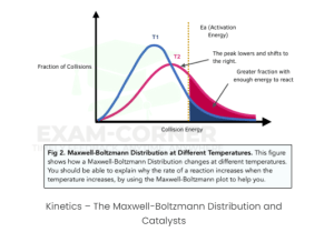 Kinetics – The Maxwell–Boltzmann Distribution and Catalysts – Exam-Corner