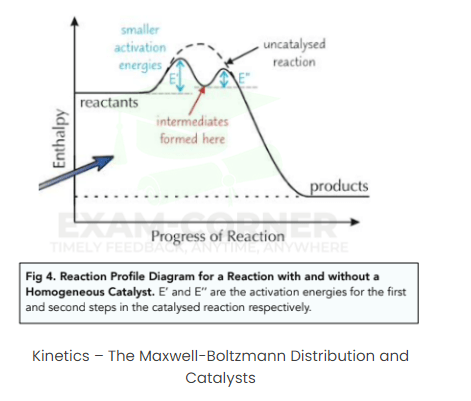 Kinetics – The Maxwell–Boltzmann Distribution and Catalysts – Exam-Corner